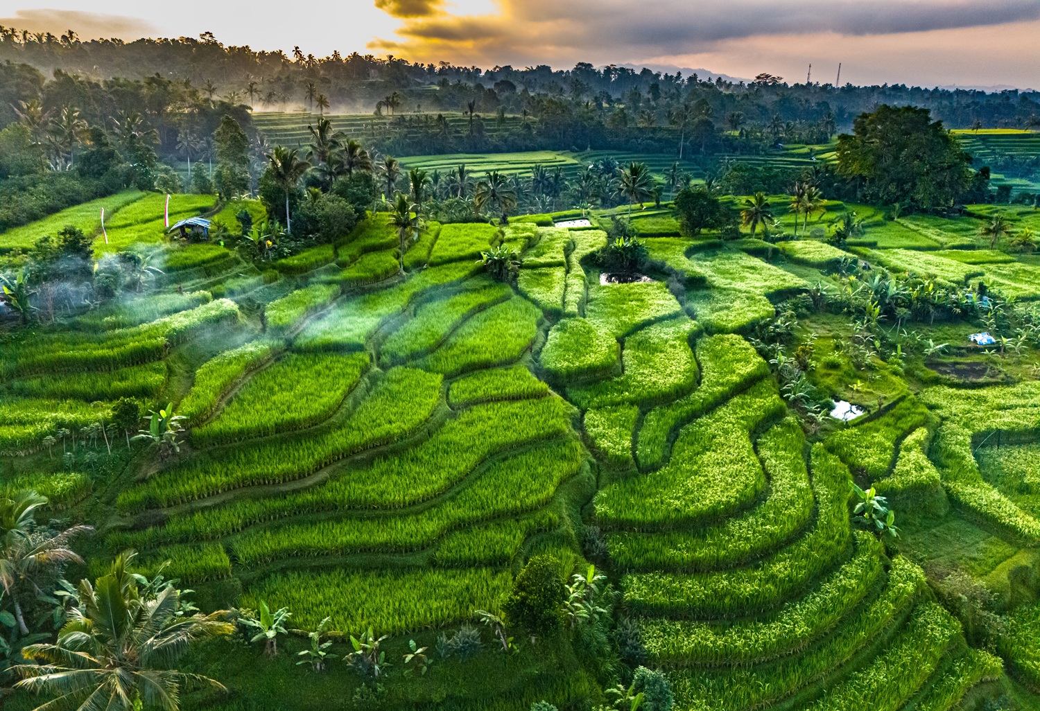 Java & Bali – Privérondreis met Cultuur, Natuur | The Orange Lotus
